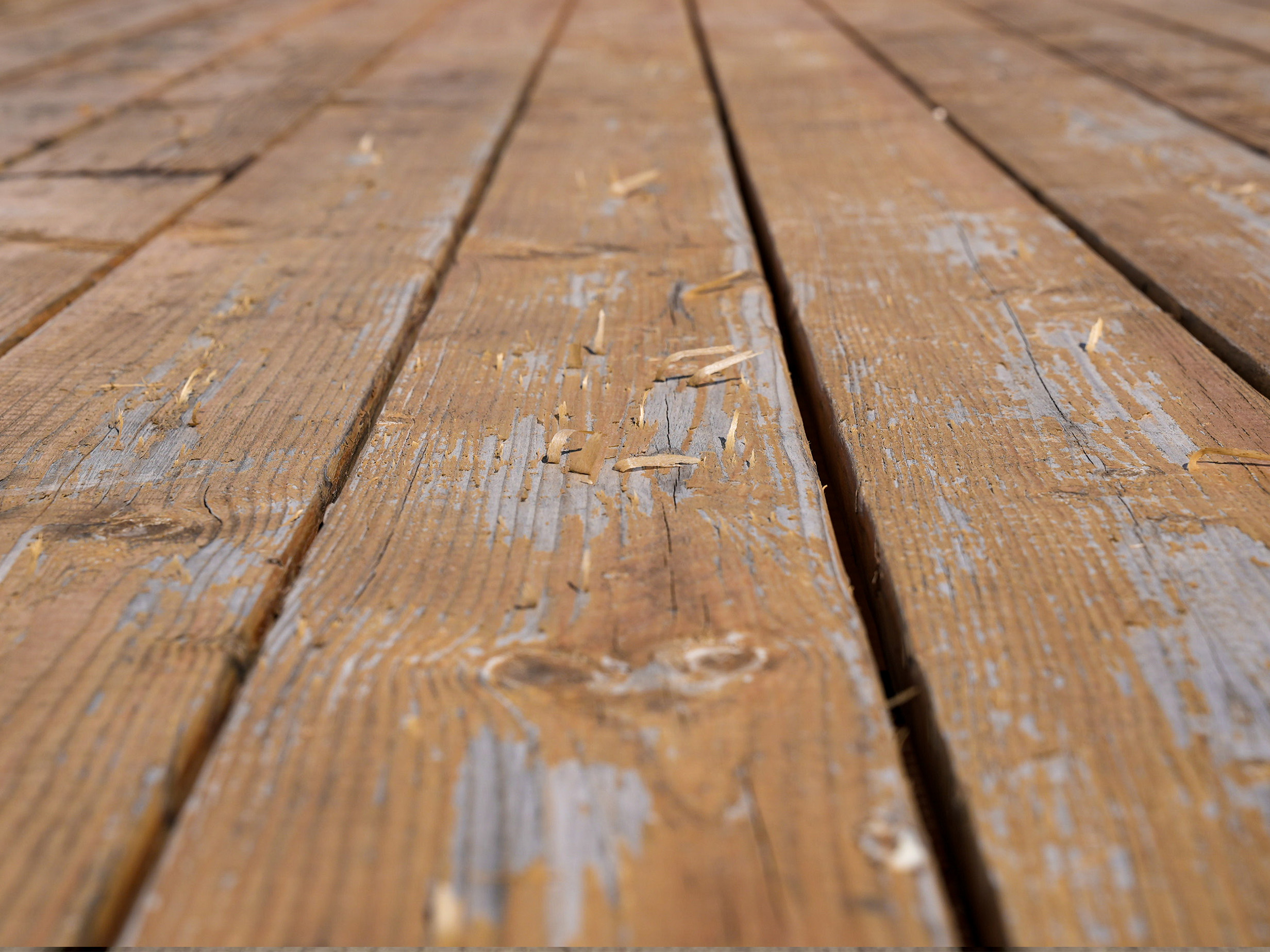 Trex® Composite Deck Boards vs. Wood | Trex