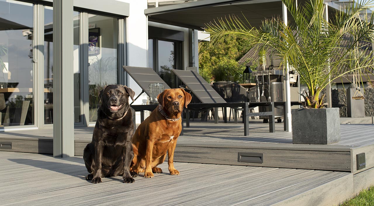 7 Best Deck Ideas for Dog Owners | Trex
